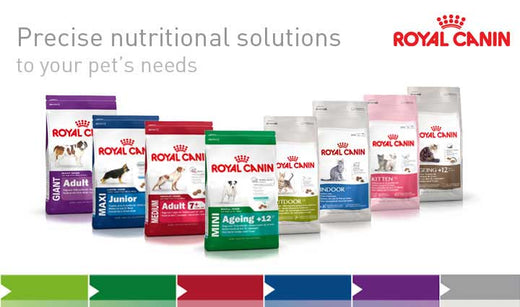 Royal Canin Maxi Adult vs Solid Gold Sundancer: Dog Food Review – Petsworld