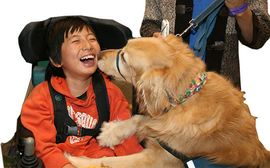 6 Unique Ways Dogs Help Humans – Petsworld