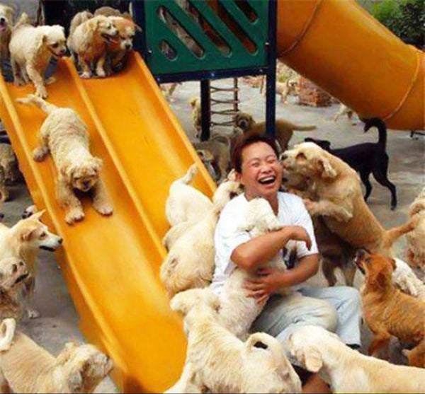 7 Acts Of Kindness Towards Animals That Will Renew Your Faith In Human ...