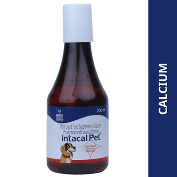 Buy INTAS Intacal Pet Syrup Online – Strong Bones & Immunity Boost ...